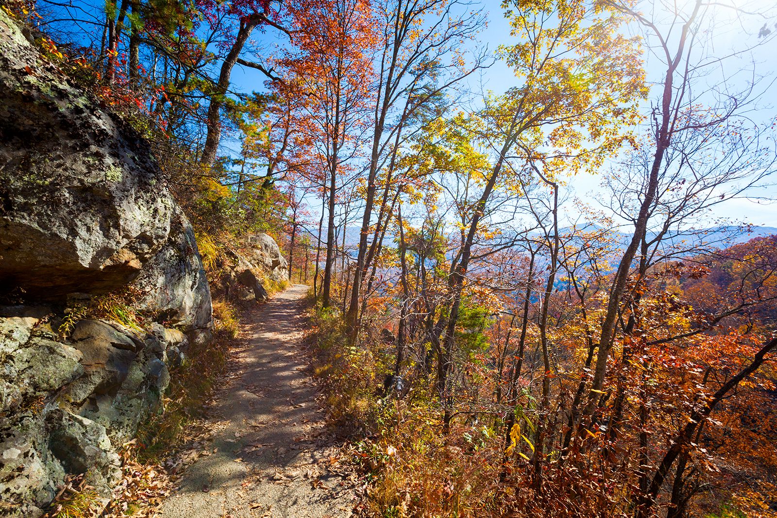 Best Fall Hikes New Jersey: Top Scenic Trails Revealed - Visit Resort